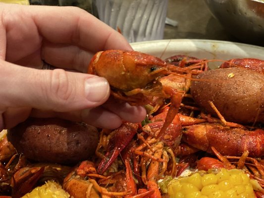 PIER 36 SEAFOOD & OYSTER BAR - 187 Photos & 282 Reviews - 1410 E Hwy 90 ...