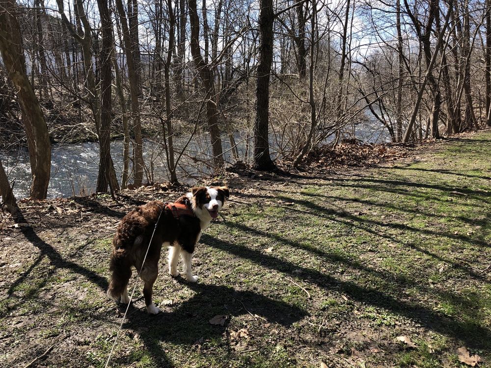 MILL RUN PARK - Updated March 2025 - 110 Mill St, Manlius, New York ...