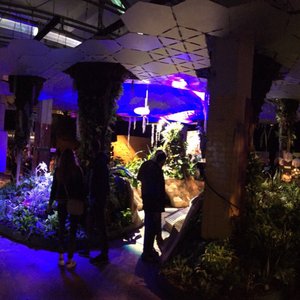 THE NEW YORK EARTH ROOM - 53 Reviews - Museums - 141 Wooster St, New ...