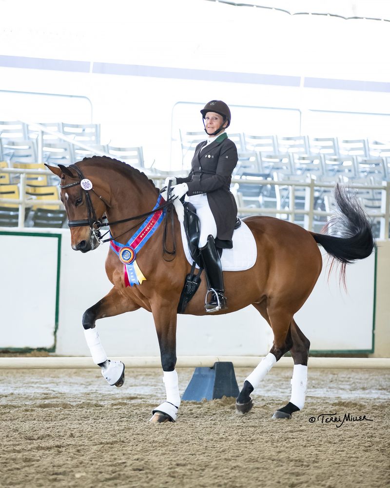 ROCOVICH EQUESTRIAN/ROCKING HORSE RANCH - Updated July 2025 - 21 Photos ...