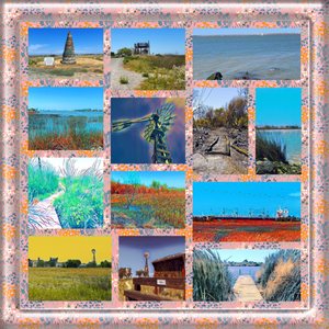 VASCO CAVES REGIONAL PRESERVE - Updated May 2025 - 20 Photos - 19450 ...