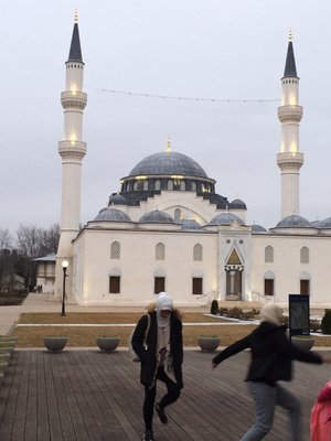 DIYANET CENTER OF AMERICA - Updated March 2025 - 175 Photos & 26 ...