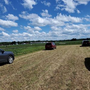 ARCADE MARKET PLACE - Updated June 2025 - 590 Main St, Arcade, New York ...