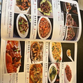 CATE ZONE CHINESE CAFE - 887 Photos & 343 Reviews - 8148 Olive Blvd ...