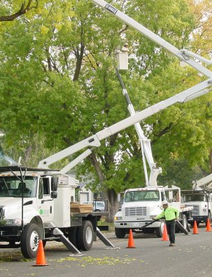 NORTH VALLEY TREE SERVICE - Updated January 2026 - 40 Photos & 37 ...
