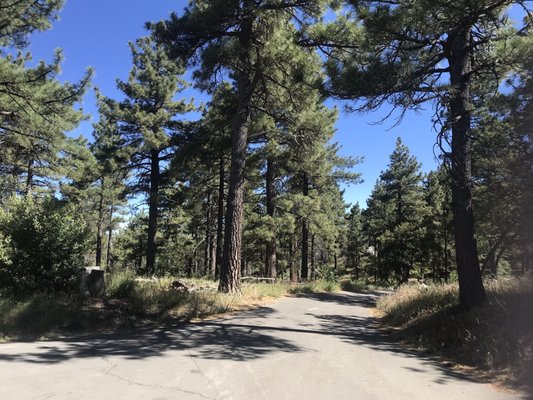 MOUNT LAGUNA OBSERVATORY - Updated December 2025 - 9197-9999 Morris ...