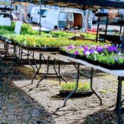 ROGERS FLEA MARKET & AUCTIONS - 127 Photos & 24 Reviews - 45625 St Rte ...