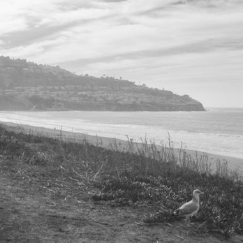 RIGHT AT TORRANCE “RAT” BEACH - Updated October 2025 - 188 Photos & 47 ...