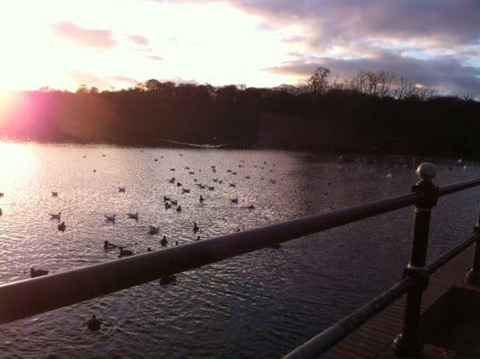 WYNDLEY POOL - Updated August 2024 - Wyndley Lane, Sutton Coldfield ...