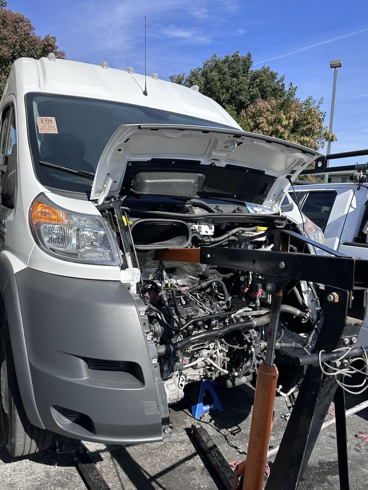 ALLIANCE - Updated July 2025 - 41 Photos & 92 Reviews - 337 E Hamilton ...