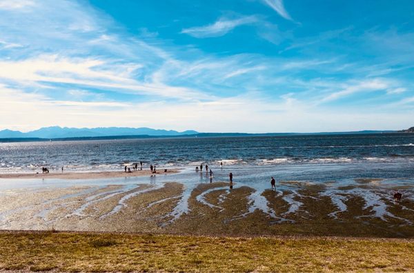 ALKI BEACH PARK - Updated December 2024 - 1374 Photos & 381 Reviews ...