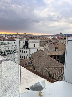 RINASCENTE - Updated January 2026 - 48 Photos & 16 Reviews - Via del ...