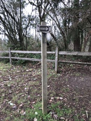 LAKEWOOD PARK DISC GOLF COURSE - Updated September 2024 - 25 Photos ...