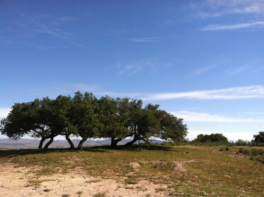 LOS FLORES RANCH PARK - Updated October 2025 - 22 Photos & 14 Reviews ...