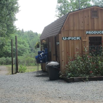 THE PAUPACK BLUEBERRY FARM - Updated October 2025 - 12 Photos & 11 ...