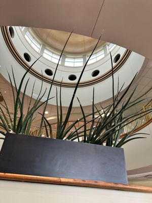 BOONE COUNTY PUBLIC LIBRARY - MAIN LIBRARY - Updated July 2025 - 35 ...