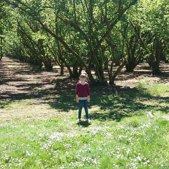 DORRIS RANCH - Updated July 2025 - 51 Photos & 15 Reviews - South 2nd ...