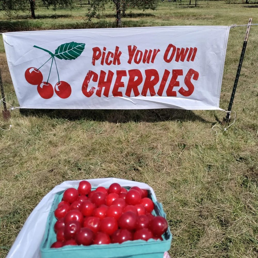 SCHARTNER’S FARM MARKET - 42 Photos & 23 Reviews - 6476 State Highway ...