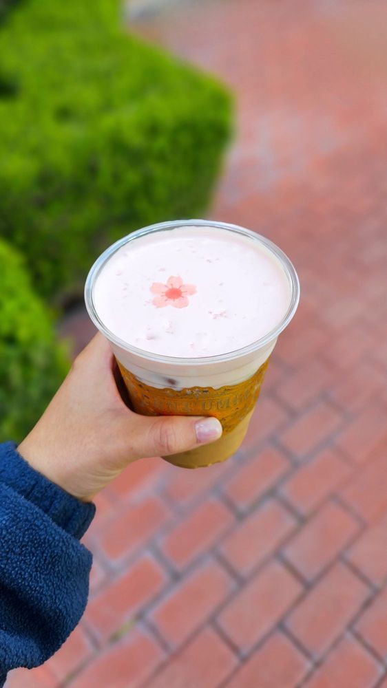 BURNT UMBER COFFEE FT. PETALS & POISON TEA ROOM - Updated July 2024 ...