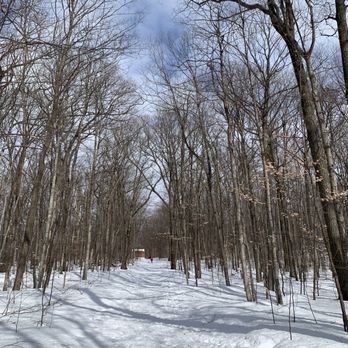 PARC NATIONAL D’OKA - 30 Photos & 15 Reviews - 2020 Chemin d'Oka, Oka ...