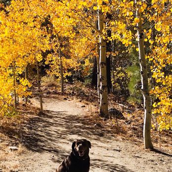 CALLAHAN PARK - Updated January 2025 - 75 Photos & 10 Reviews - 15960 ...