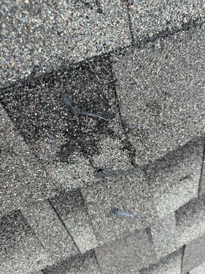 FREEDOM POWER - AUSTIN - Updated January 2026 - 157 Photos & 127 ...