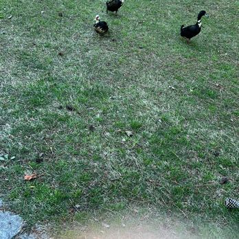 AVONDALE LAKE - Updated January 2026 - 11 Photos - 59 Lakeshore Dr ...