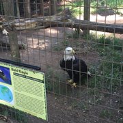 THE ZOO IN FOREST PARK & EDUCATION CENTER - 52 Photos & 21 Reviews ...