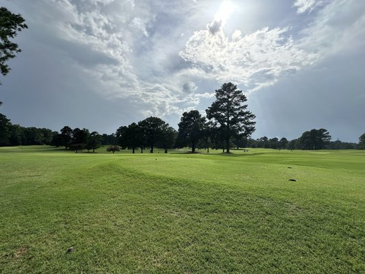 RALEIGH GOLF ASSOCIATION - Updated December 2025 - 14 Photos & 33 ...