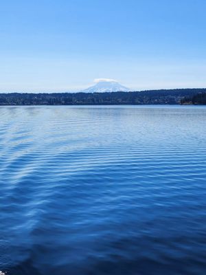 PIERCE COUNTY FERRY - Updated December 2025 - 46 Photos & 11 Reviews ...