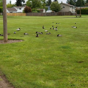 HILLENDALE PARK - Updated July 2025 - 20 Photos - 19260 Clairmont Way ...