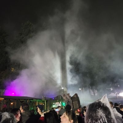 WILD WAVES THEME AND WATER PARK - Updated April 2025 - 538 Photos & 620 ...