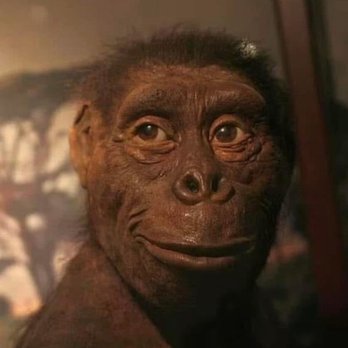 ORIGEN GILBERT - Updated April 2025 - 275 Photos & 186 Reviews - 2472 S ...