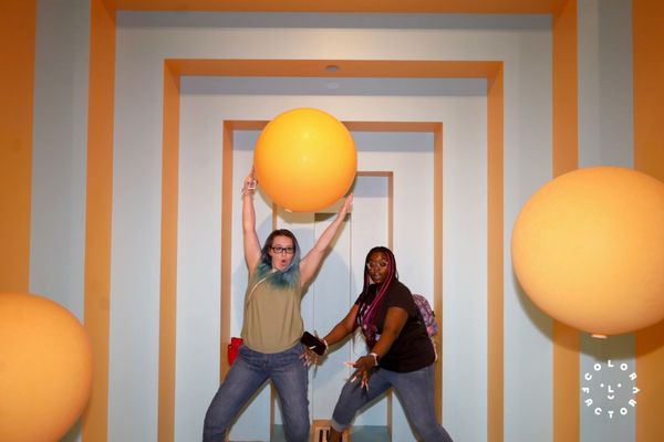 COLOR FACTORY - Updated September 2024 - 366 Photos & 81 Reviews - 320 ...