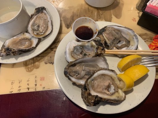 OCEAN BUFFET - 72 Photos & 164 Reviews - 3425 SW College Rd, Ocala ...