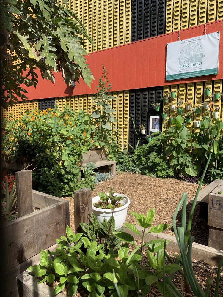 SPRING STREET COMMUNITY GARDEN - Updated January 2026 - 220 South ...