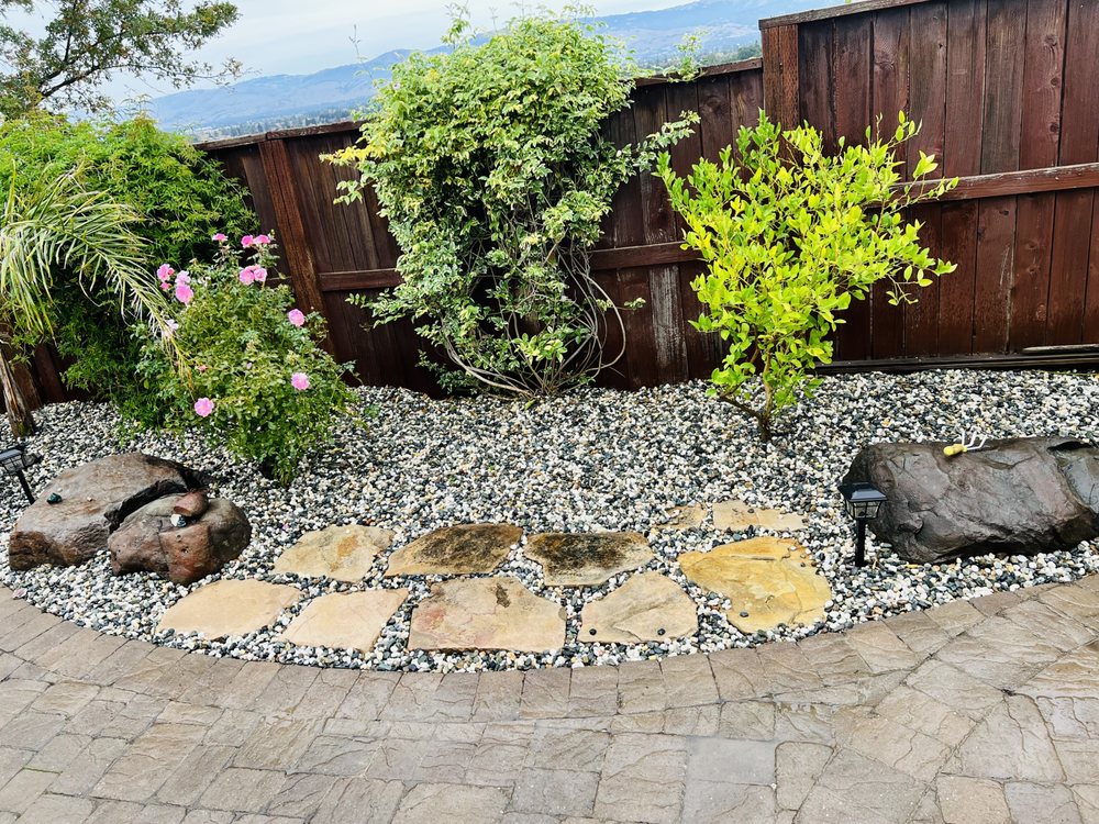 502 TREE SERVICE - Updated August 2025 - 11 Photos - Gilroy, California ...