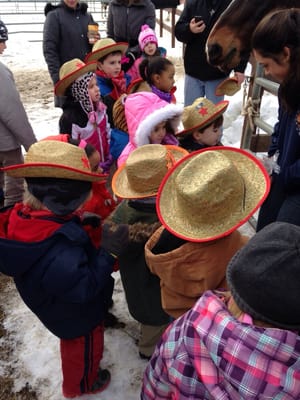 WATCHUNG STABLE - Updated October 2025 - 12 Photos - 1160 Summit Ln ...