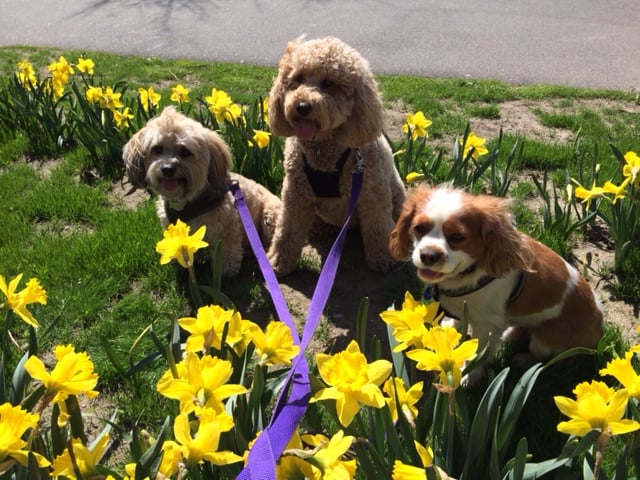 HOOCHIE POOCHIE CLUB - Updated October 2025 - 22 Photos & 17 Reviews ...