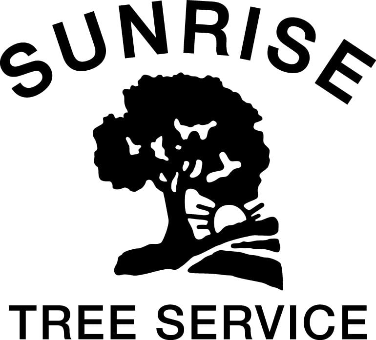 SUNRISE TREE SERVICE - Updated December 2025 - 16 Photos & 16 Reviews ...