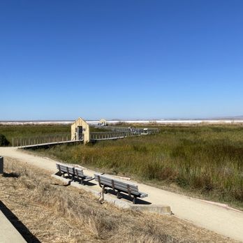 ALVISO MARINA COUNTY PARK - Updated August 2025 - 1718 Photos & 223 ...