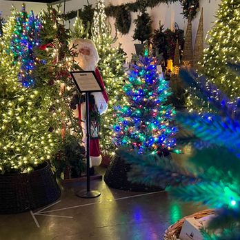 BALSAM HILL OUTLET TEMP. CLOSED Updated January 2025 254 Photos 636 Reviews 1561 Adrian Rd Burlingame California Christmas Trees Phone Number Yelp