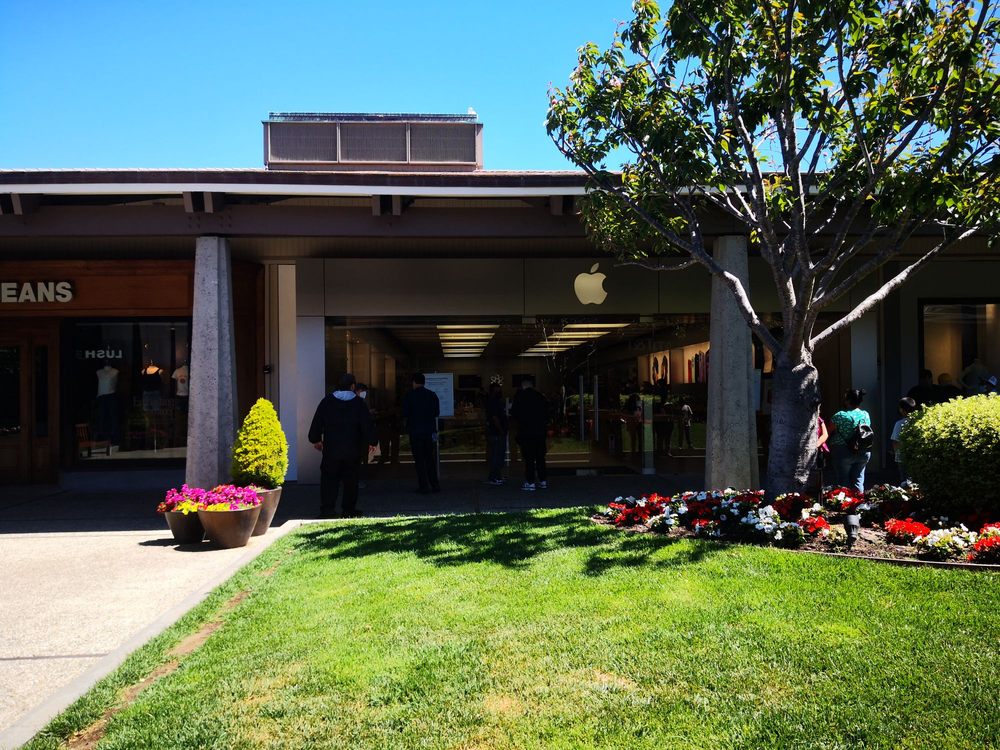 APPLE DEL MONTE - Updated December 2024 - 32 Photos & 289 Reviews - 240 ...