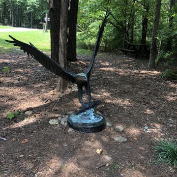 CAROLINA RAPTOR CENTER - Updated December 2025 - 178 Photos & 80 ...