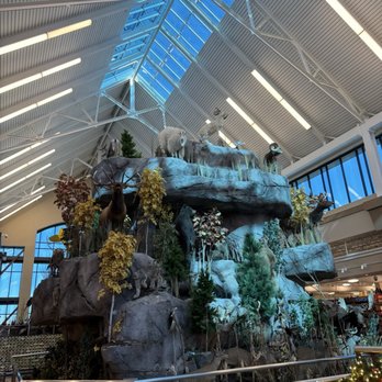 SCHEELS - Updated October 2025 - 136 Photos & 28 Reviews - 6929 S ...