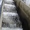 NIMBUS FISH HATCHERY - Updated May 2026 - 601 Photos & 122 Reviews ...