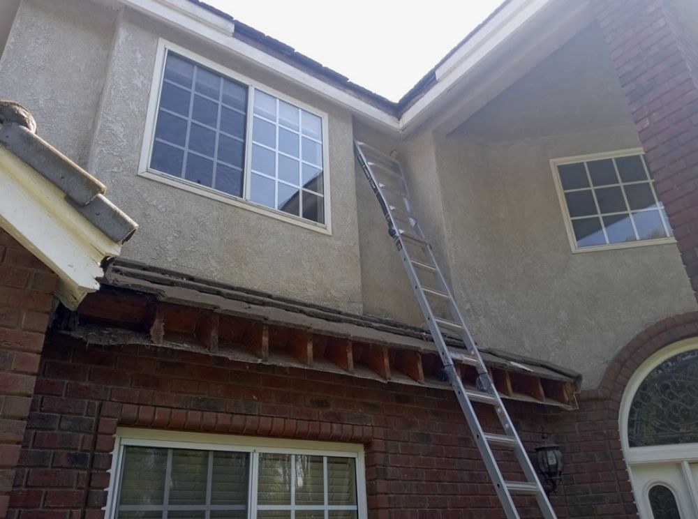 OTC TERMITE - Updated May 2024 - 32 Photos - Newport Beach, California ...