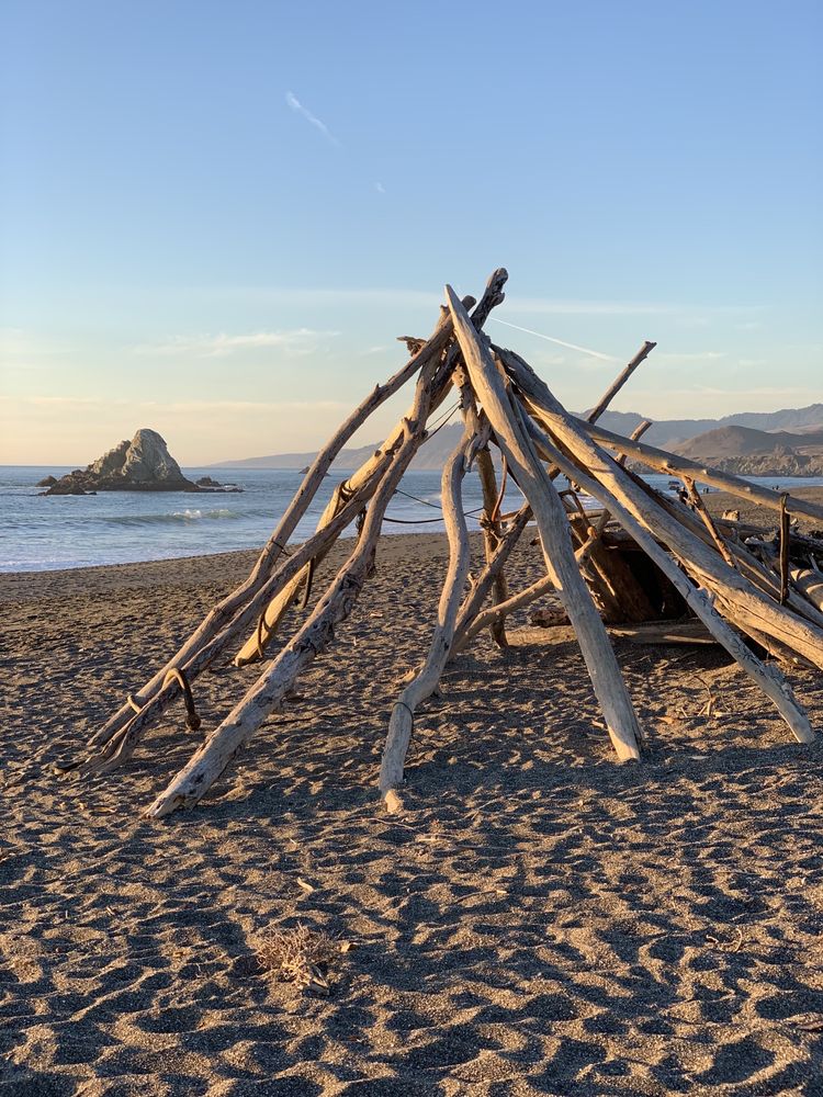 SONOMA COAST STATE PARK - Updated December 2024 - 215 Photos & 56 ...