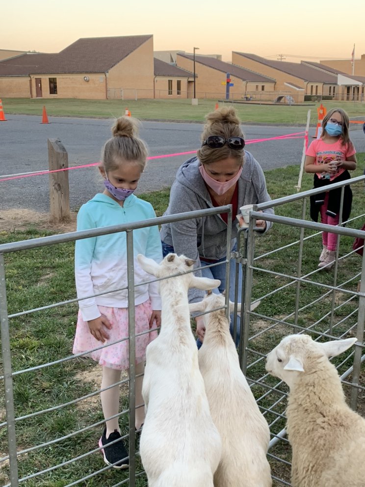 D & D PONY RIDES/PETTING ZOO - Updated September 2025 - 3516 Point Of ...