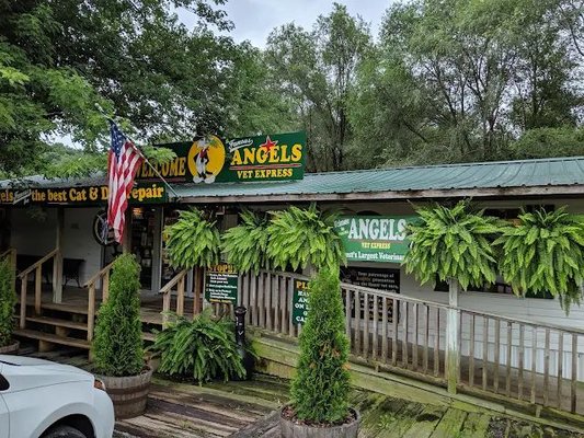 ANGELS VET EXPRESS - Updated June 2026 - 11 Photos & 33 Reviews - 11519 ...
